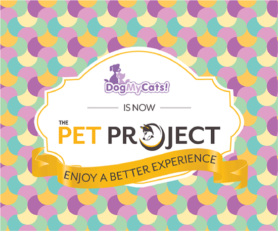 pet-project-india
