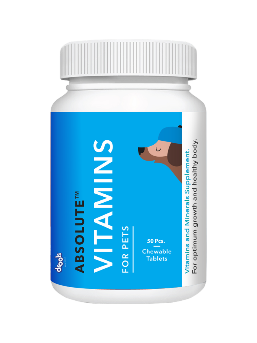 buy Drools Absolute Vitamin Tablet 50 Pcs at best price